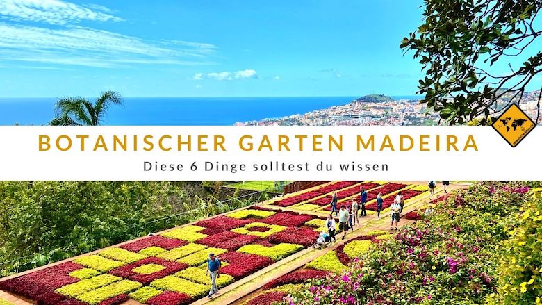 Botanischer Garten auf Madeira: Diese 6 Dinge solltest du wissen
