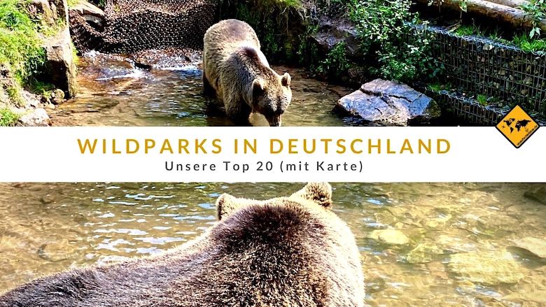 Wildparkmv Highlights Tipps Zum Besuch Im Wildpark Wildpark MV | Tag