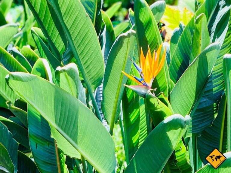 Teneriffa im Winter: Diese 5 Fehler solltest du vermeiden ...