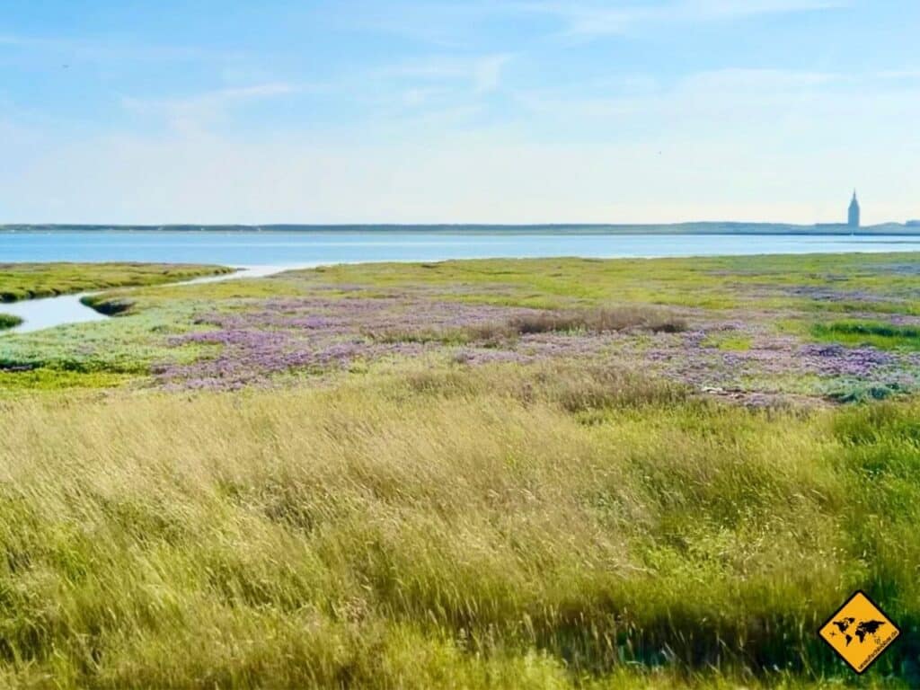 Wangerooge Tagesausflug - die 6 schönsten Orte | unaufschiebbar.de
