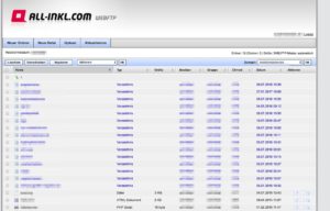 All-Inkl Erfahrung - Unser großer Webhosting Test mit Bewertung (9.2/10)