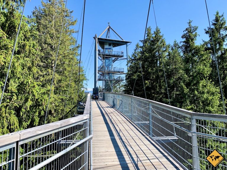 Skywalk Allgäu - Erfahrungen zum Naturerlebnispark in Scheidegg