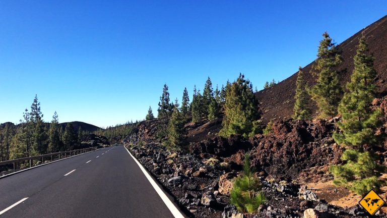 Mietwagen Teneriffa - Erfahrungen, Top 10 Tipps & Anbieter-Vergleich