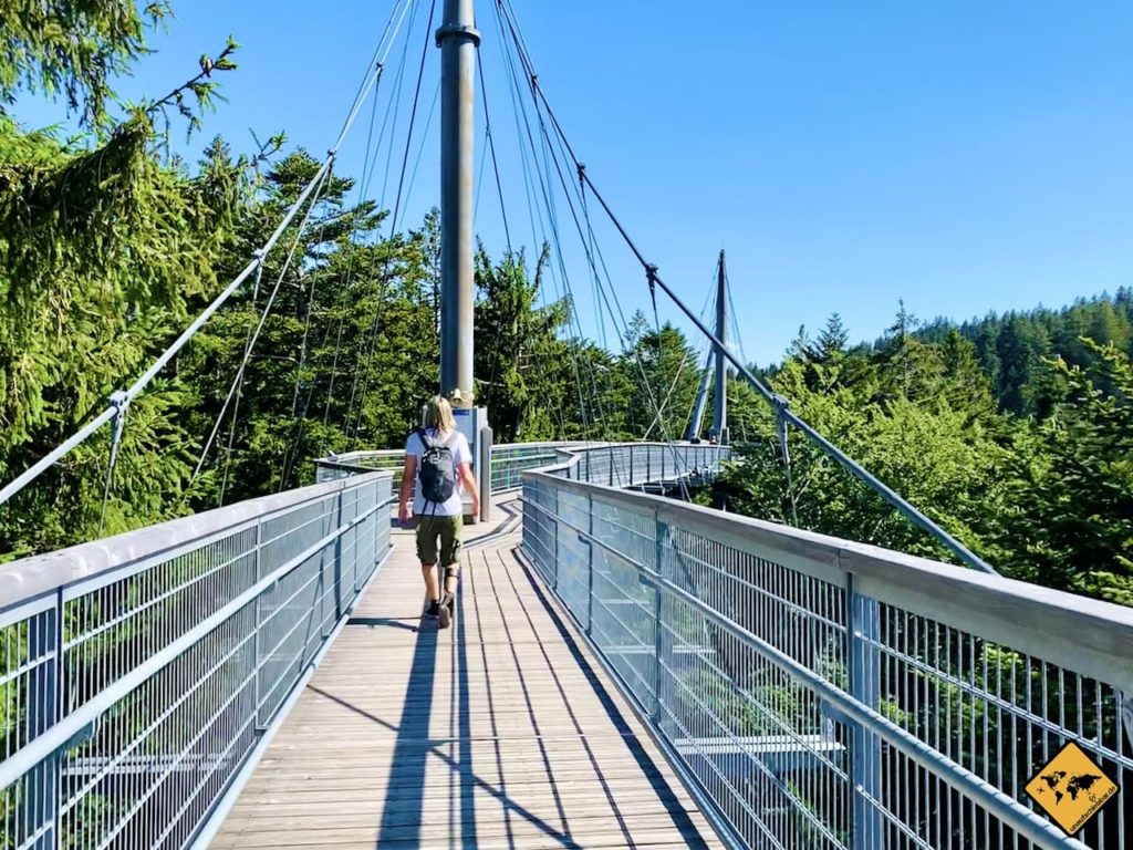 Skywalk Allgäu - Erfahrungen zum Naturerlebnispark in Scheidegg