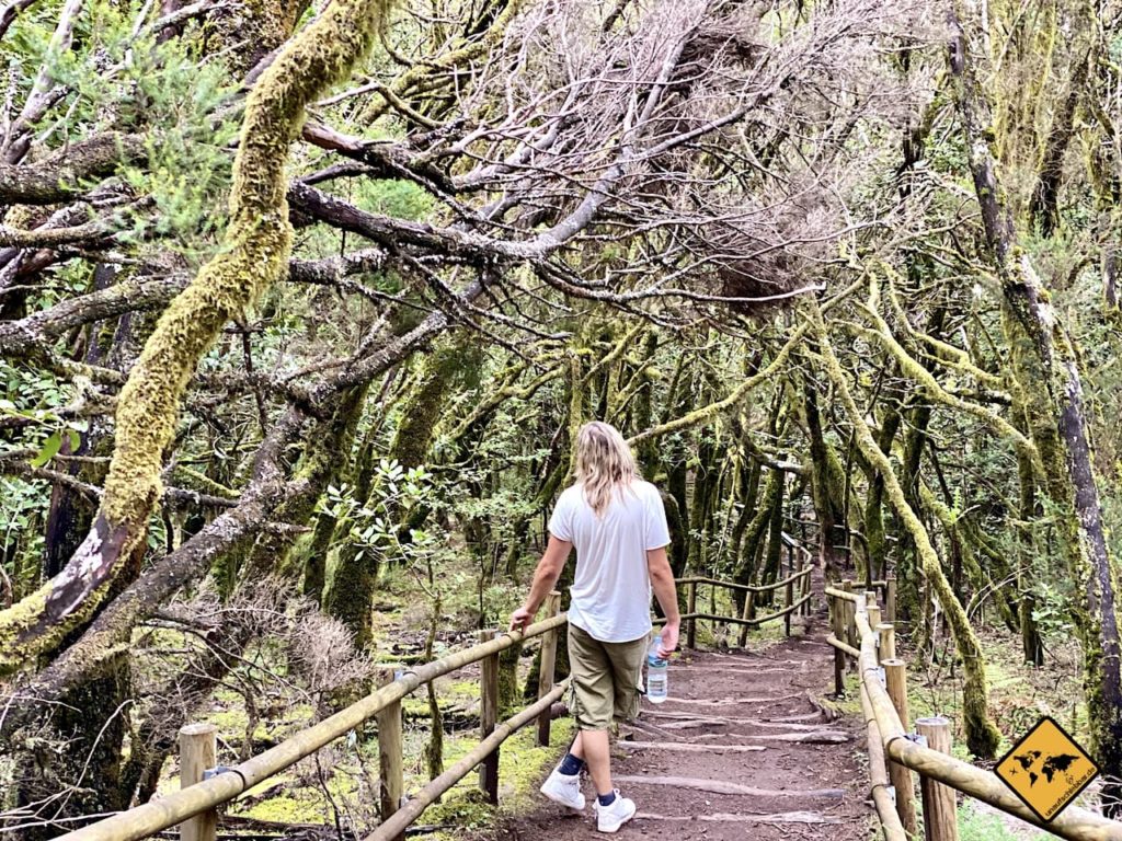 Wandern auf La Gomera - diese 15 Wege lohnen sich (inkl. Karte)