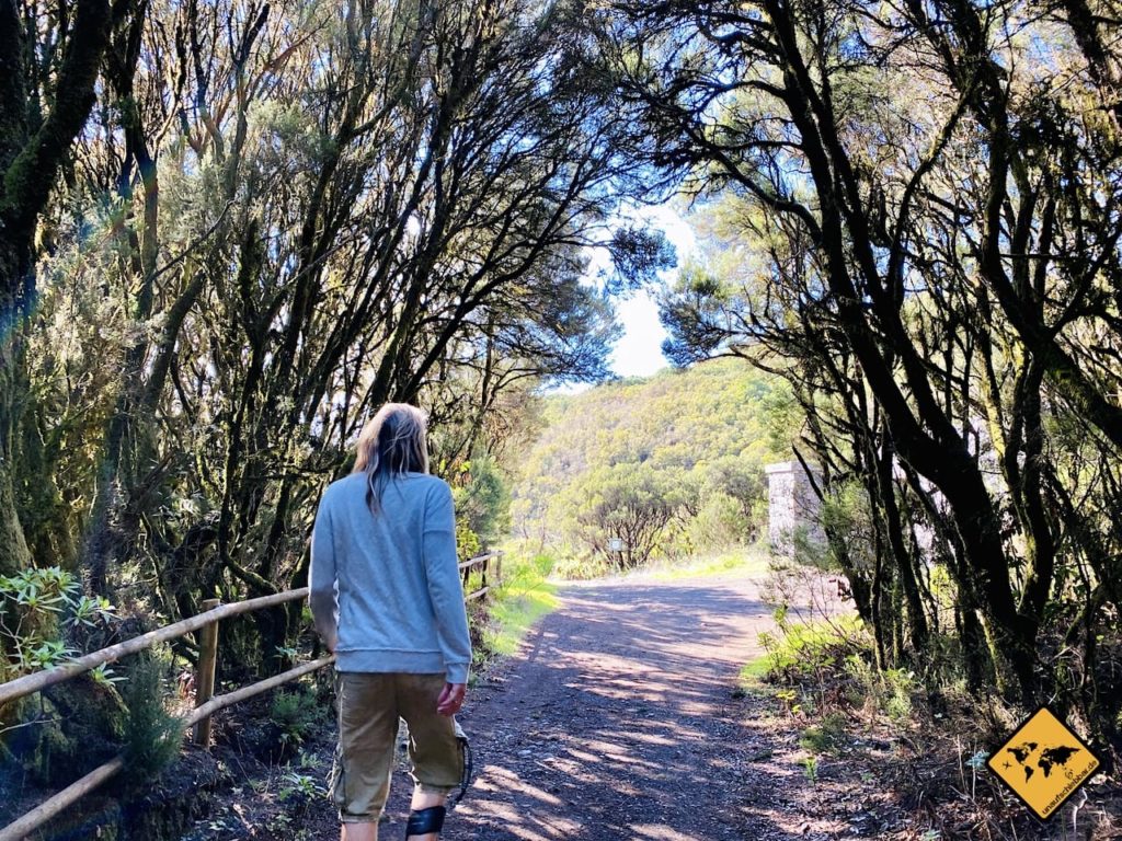 Wandern auf La Gomera - diese 15 Wege lohnen sich (inkl. Karte)